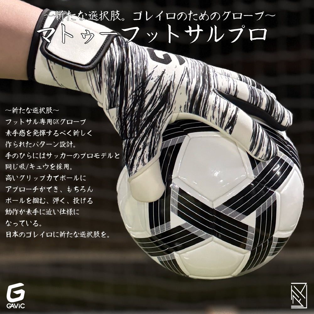 ～新たな選択肢～ – GAViC