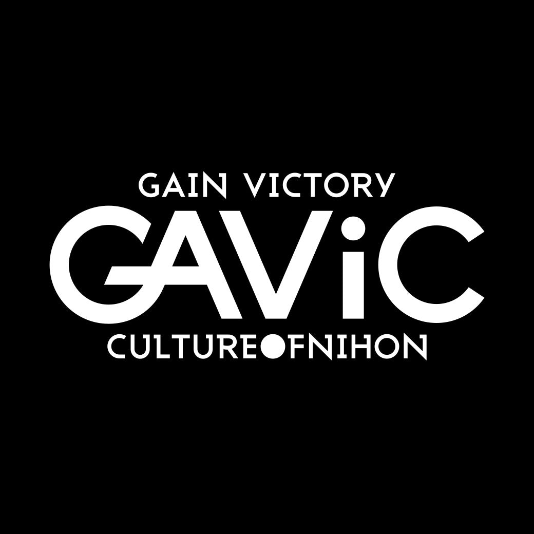 価格改定のお知らせ – GAViC