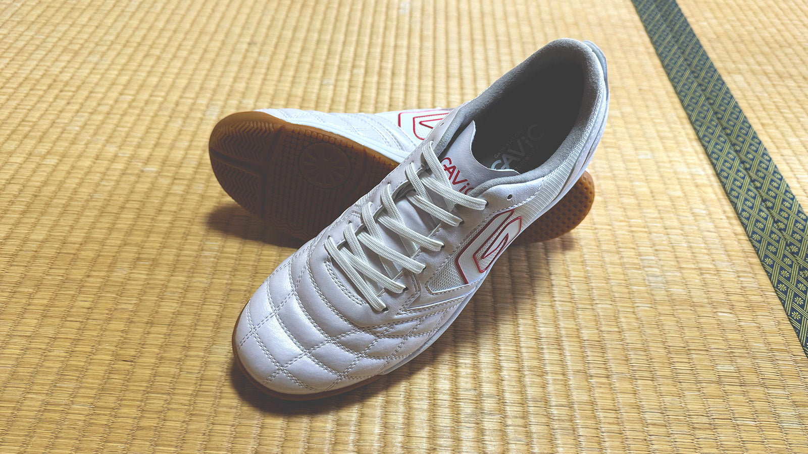 ジーアティテュード2024 – GAViC